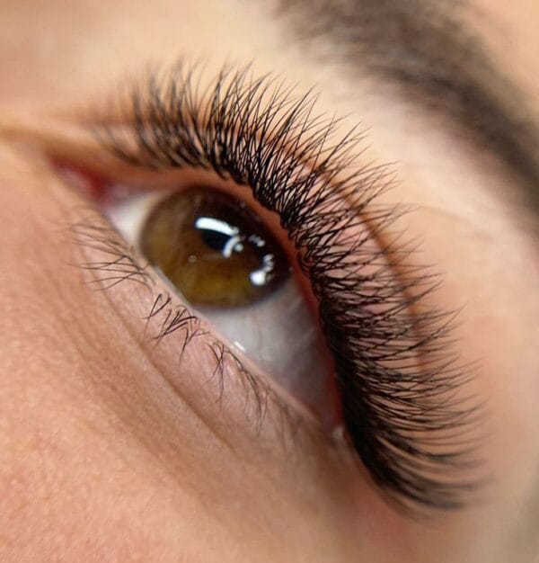 6 Tipos de Mapping de pestañas – International Lash Academy
